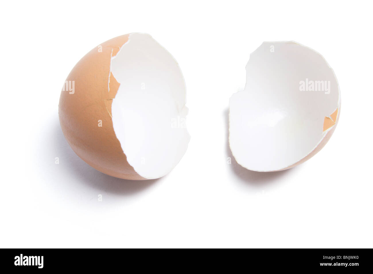 Half shells hi-res stock photography and images - Alamy