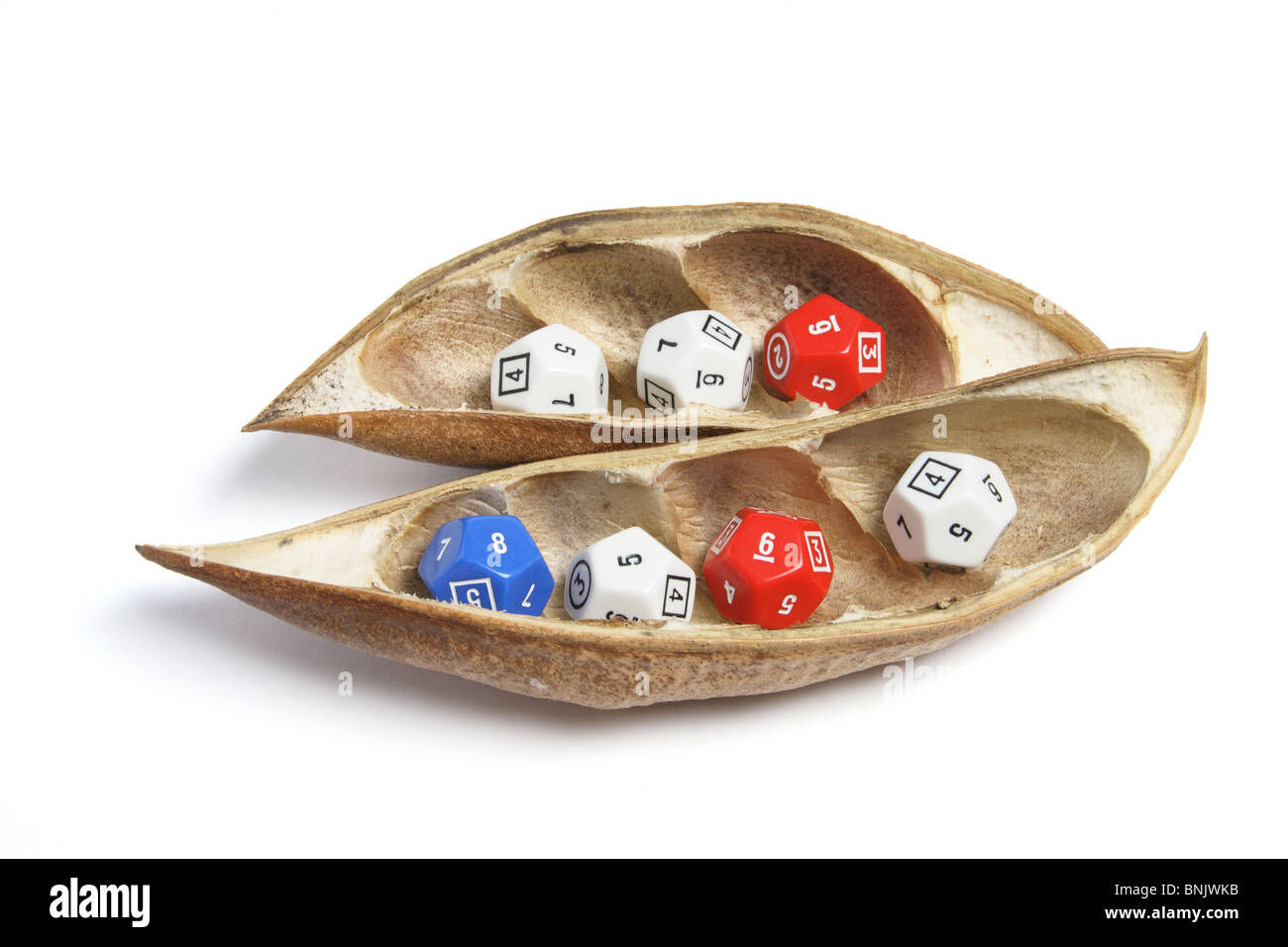 Nut pods Cut Out Stock Images & Pictures - Alamy