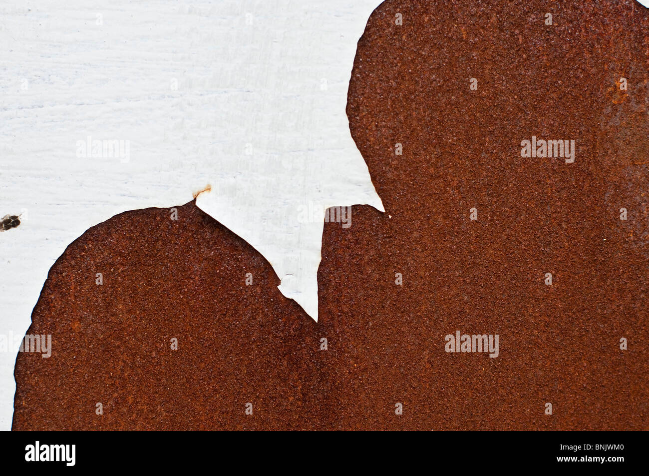 Walls discolour and mold fast in Hong Kongs moldy and humid climate ...