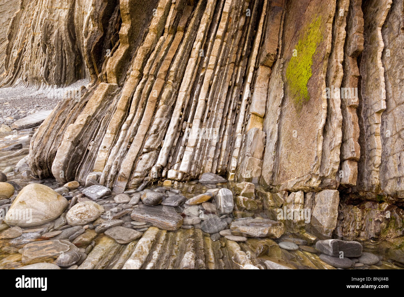 Vertical sedimentary formation of rocks at the shoreline Stock Photo ...