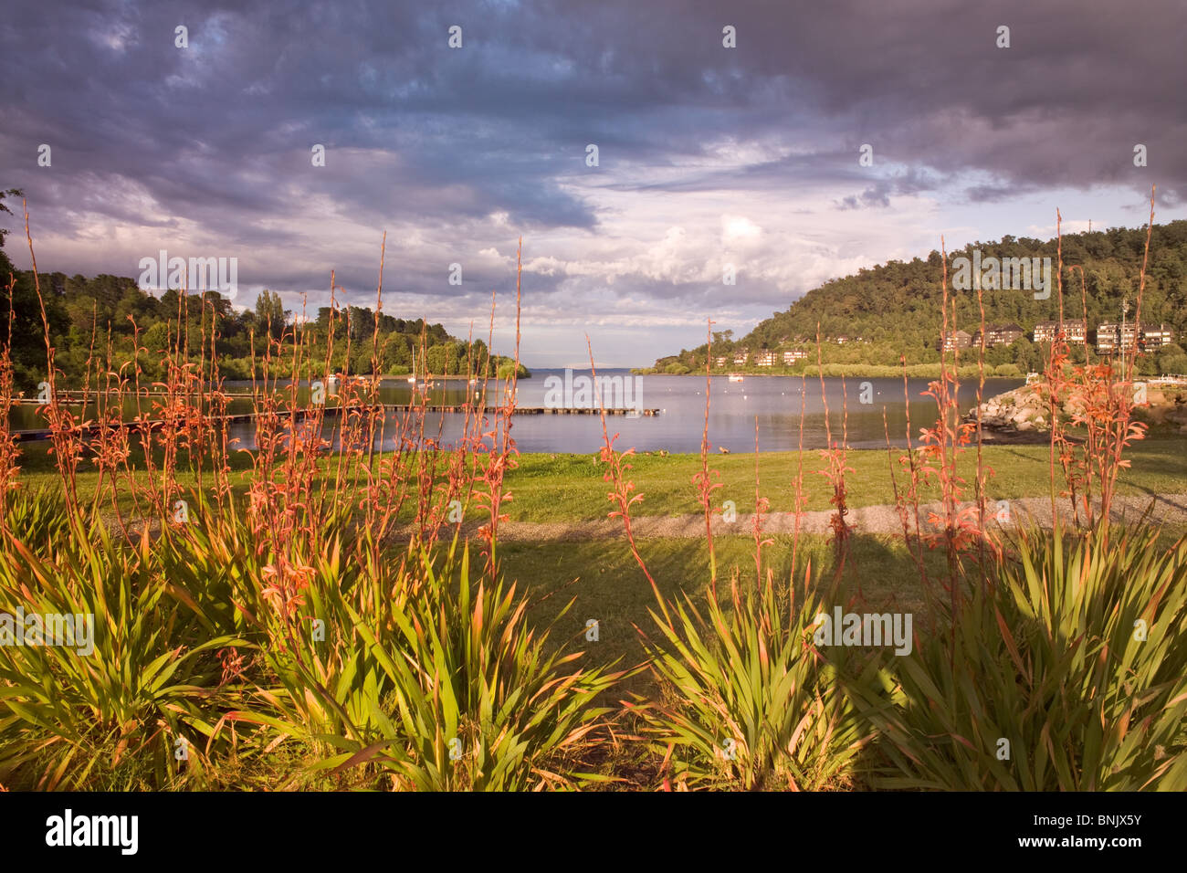 Lake Villarrica in Pucon, Chile Stock Photo - Alamy
