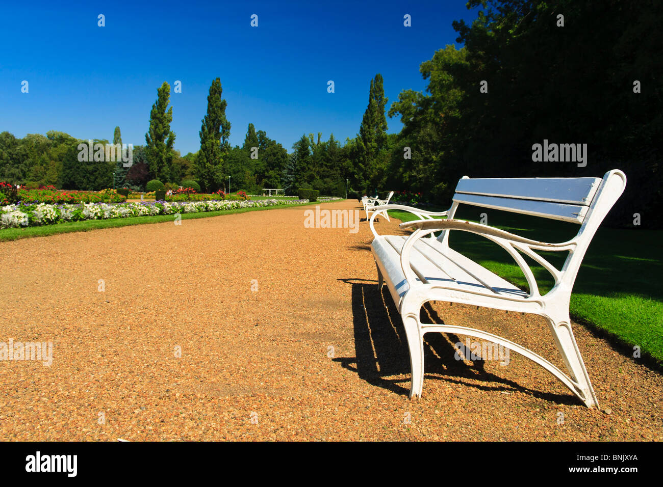 White bench in a park Stock Photo - Alamy