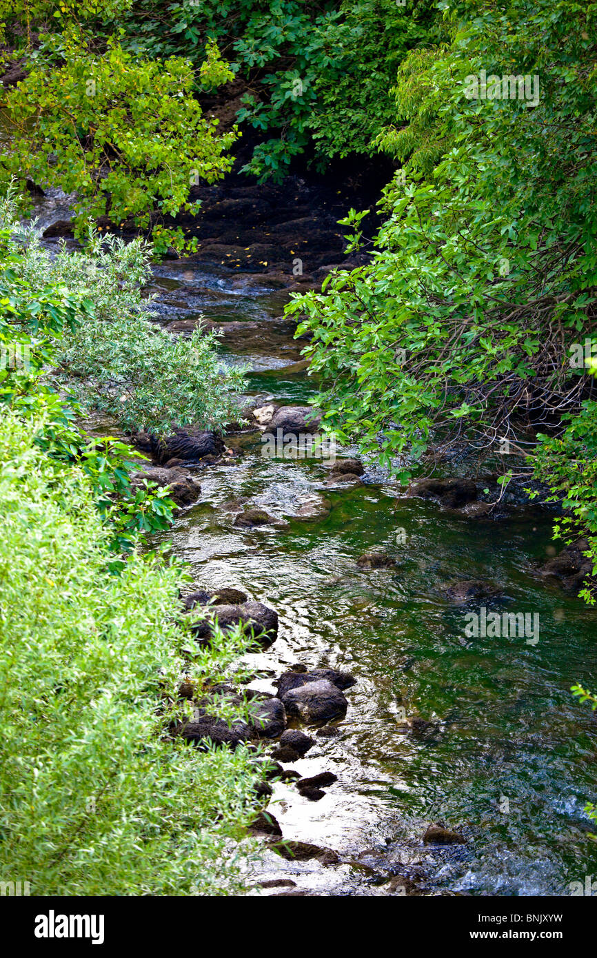 Beautiful landscape, River Cikola in Croatia. Nice natural background ...