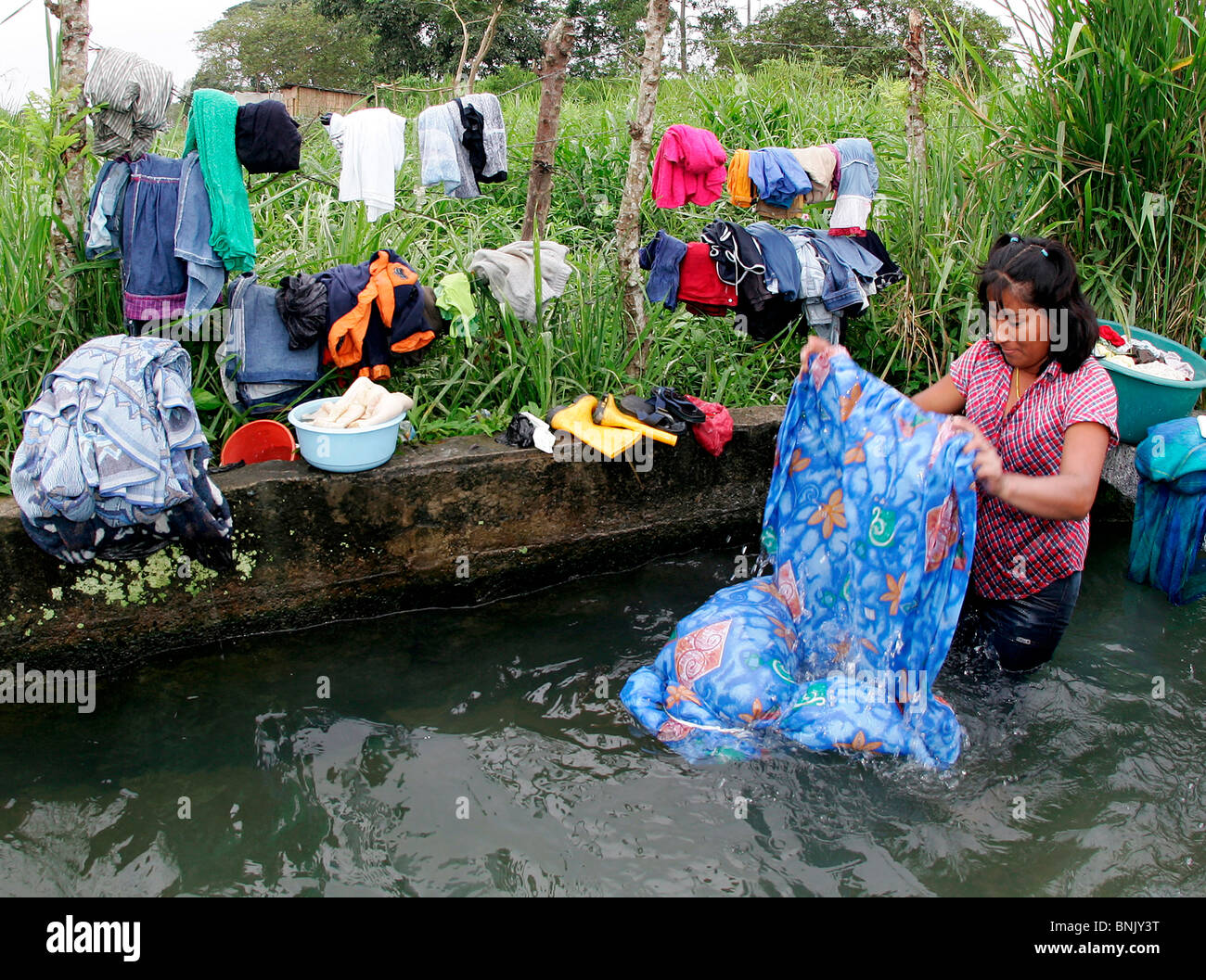 Woman Is Washing Laundry In A Small River In Ecuador, South America ...