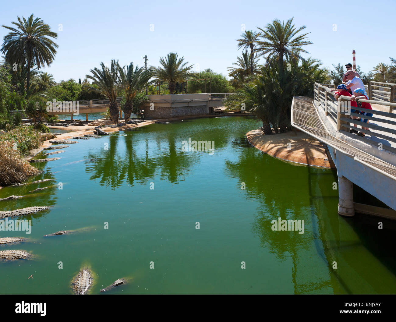 Tourists looking at the crocodiles in the Crocod'Iles section of the ...