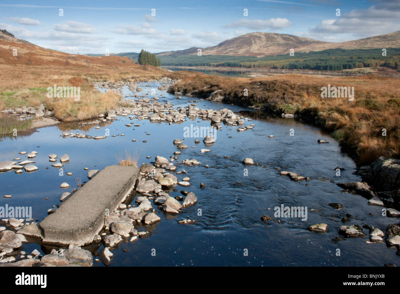 Burn flowing into Loch Doon on the Carrick Forest Drive Stock Photo - Alamy