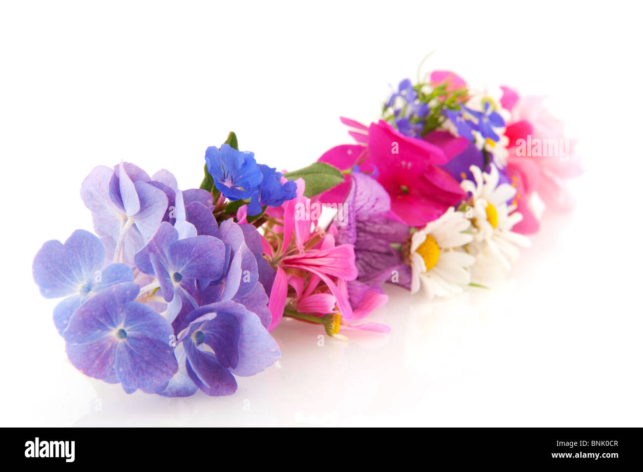 Garland from flowers in the garden isolated over white Stock Photo - Alamy