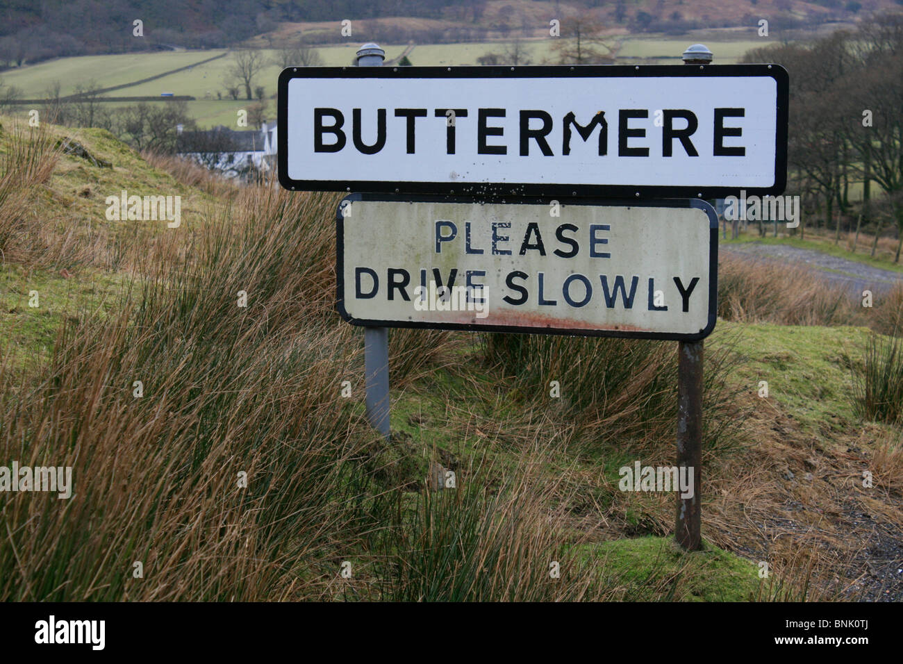 Buttermere forest hi-res stock photography and images - Alamy
