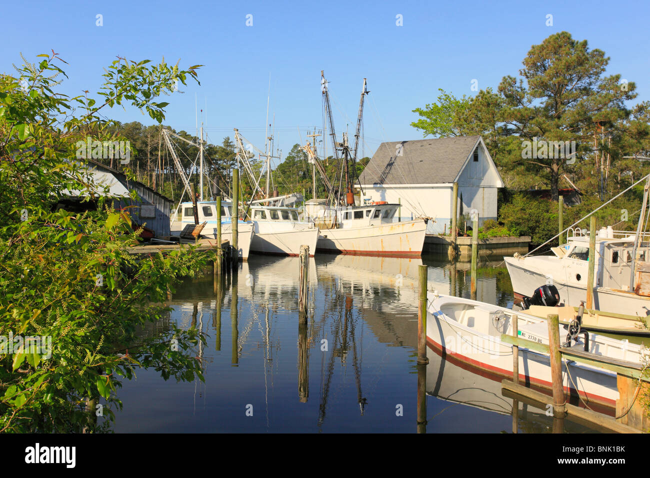 Fishing boats in harbor at Davis, North Carolina, USA Stock Photo - Alamy