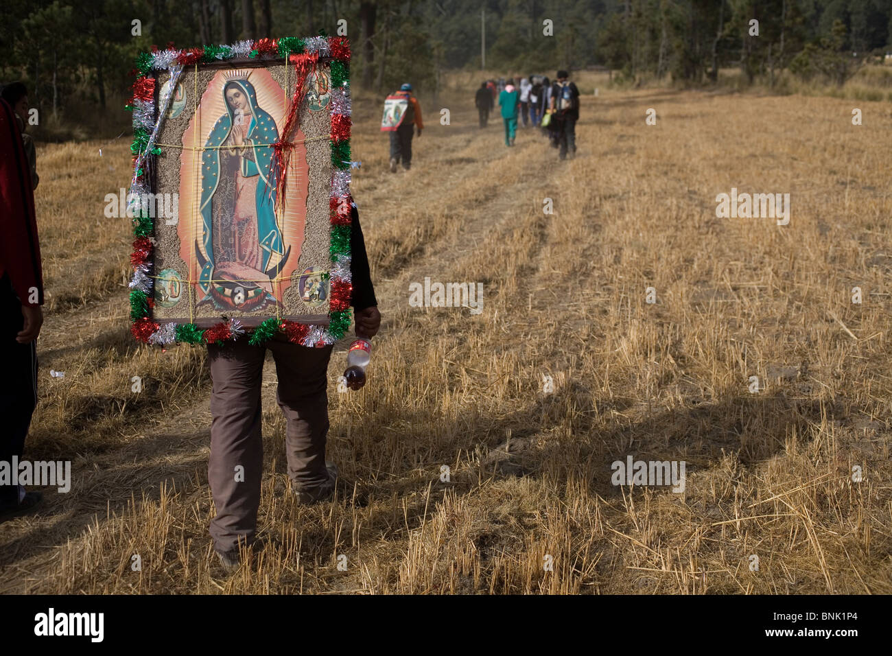 Pilgrims walk to the Virgin of Guadalupe Basilica on the outskirts of ...