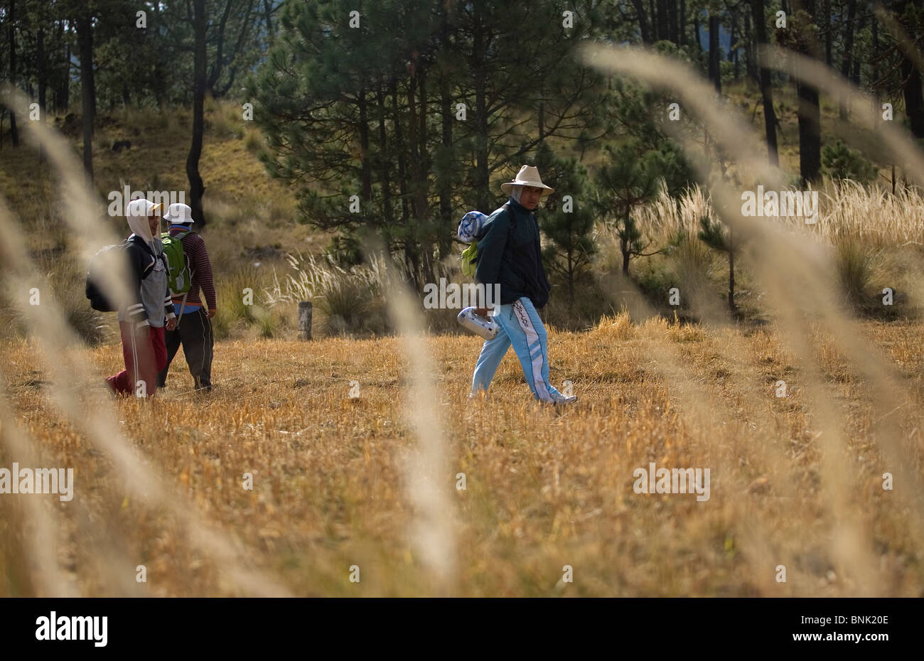 Pilgrims walk to the Virgin of Guadalupe Basilica on the outskirts of ...