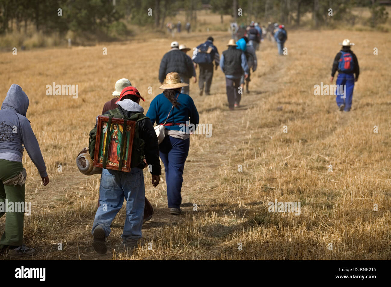 Pilgrims walk to the Virgin of Guadalupe Basilica on the outskirts of ...