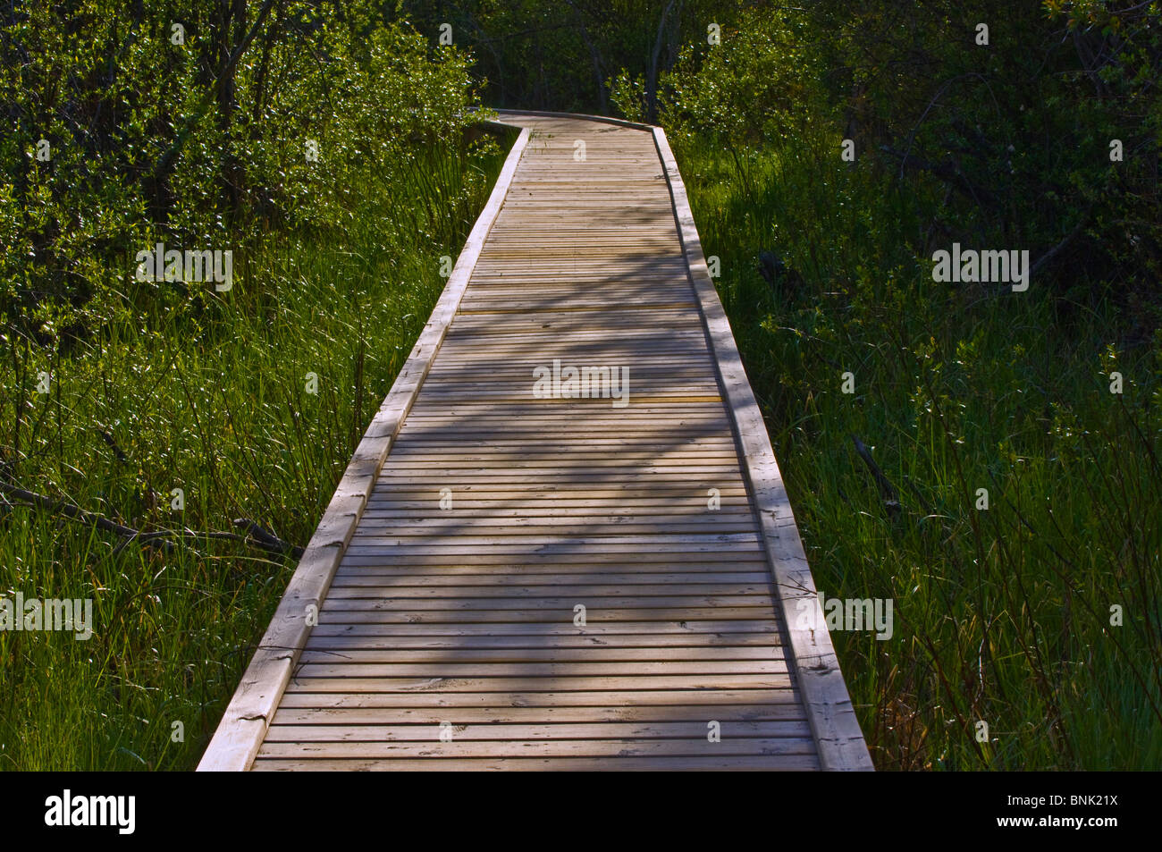 A section of boardwalk Stock Photo - Alamy