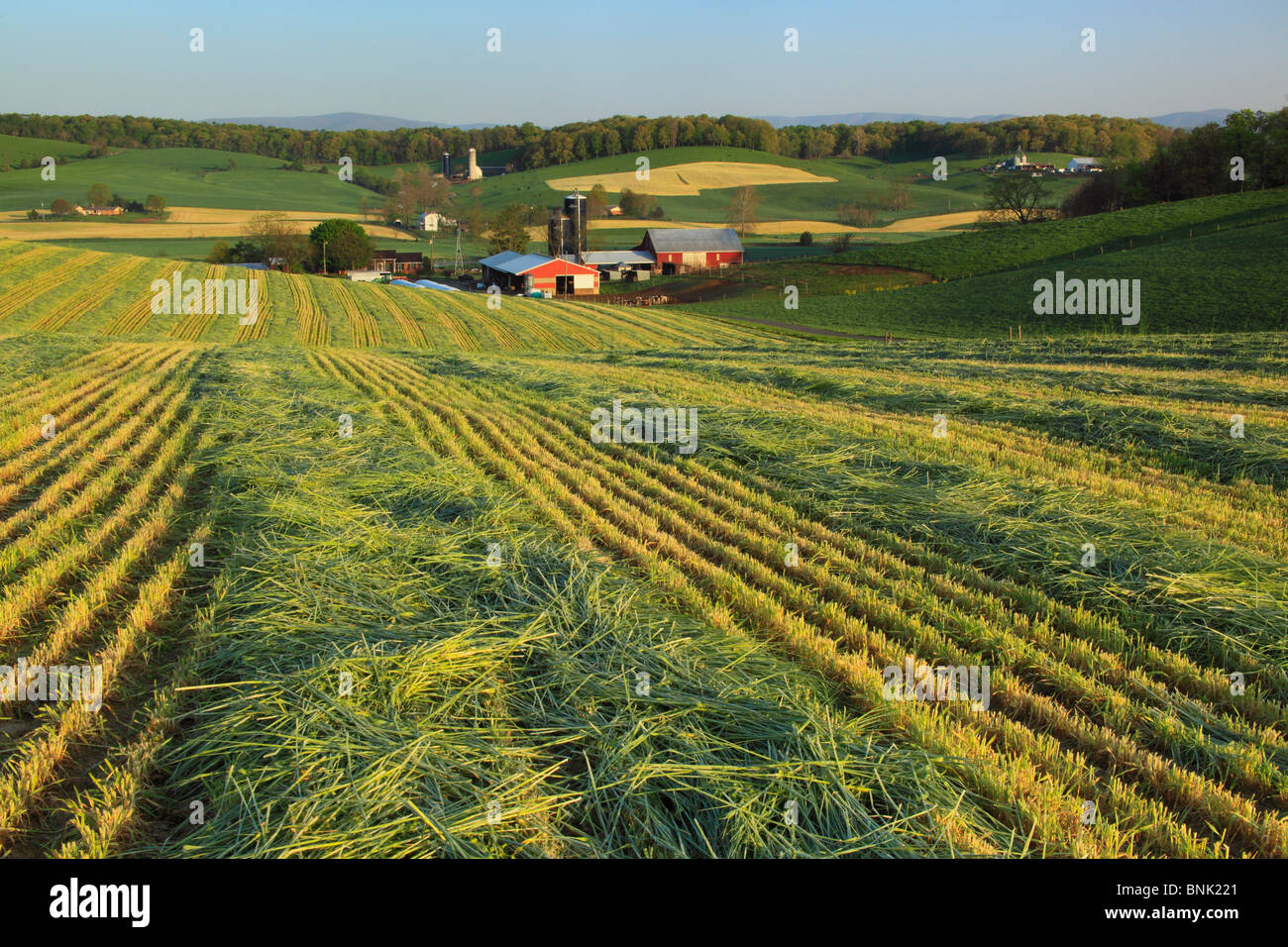 New mown hay hi-res stock photography and images - Alamy