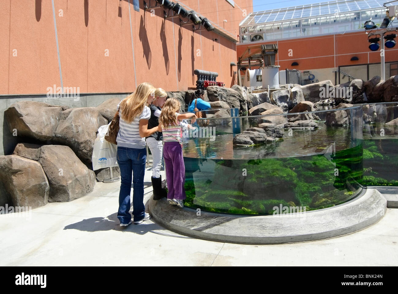 Ecosystems exhibit california science center hi-res stock photography ...