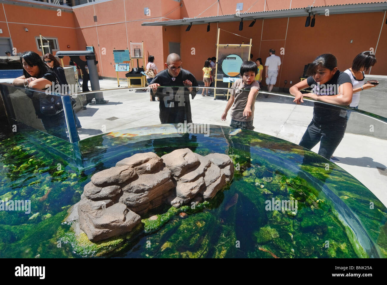 Ecosystems exhibit california science center hi-res stock photography ...
