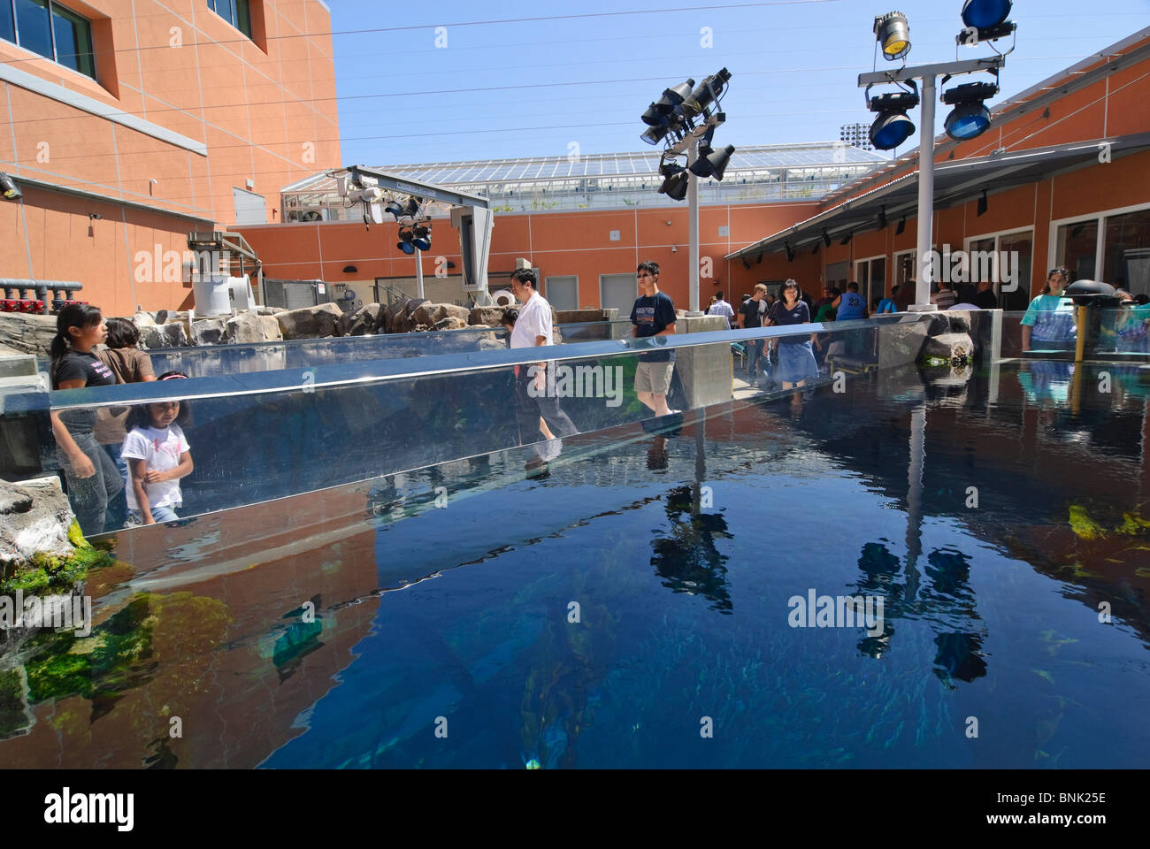Ecosystems exhibit california science center hi-res stock photography ...