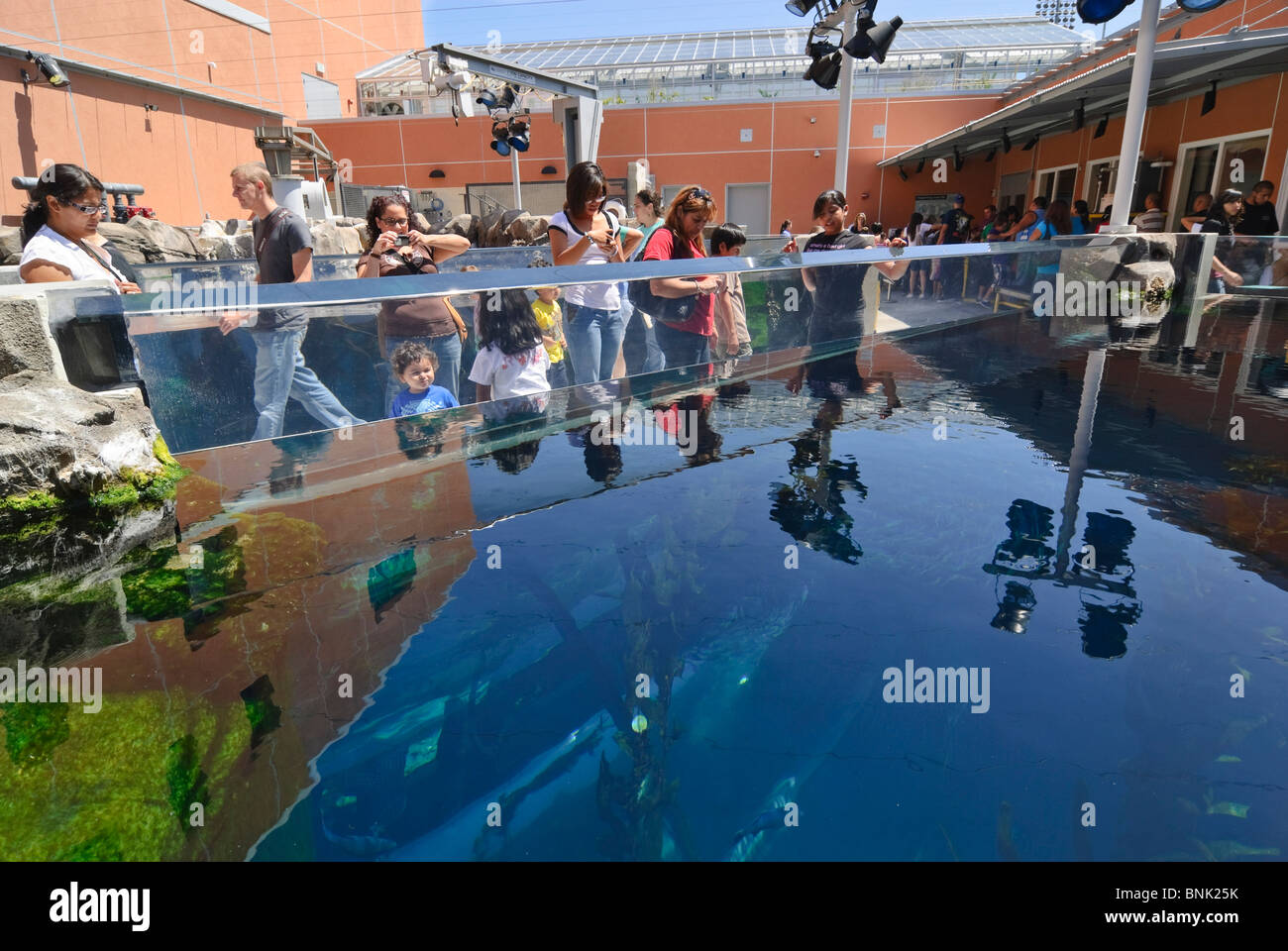 Ecosystems Exhibit California Science Center Stock Photos & Ecosystems ...