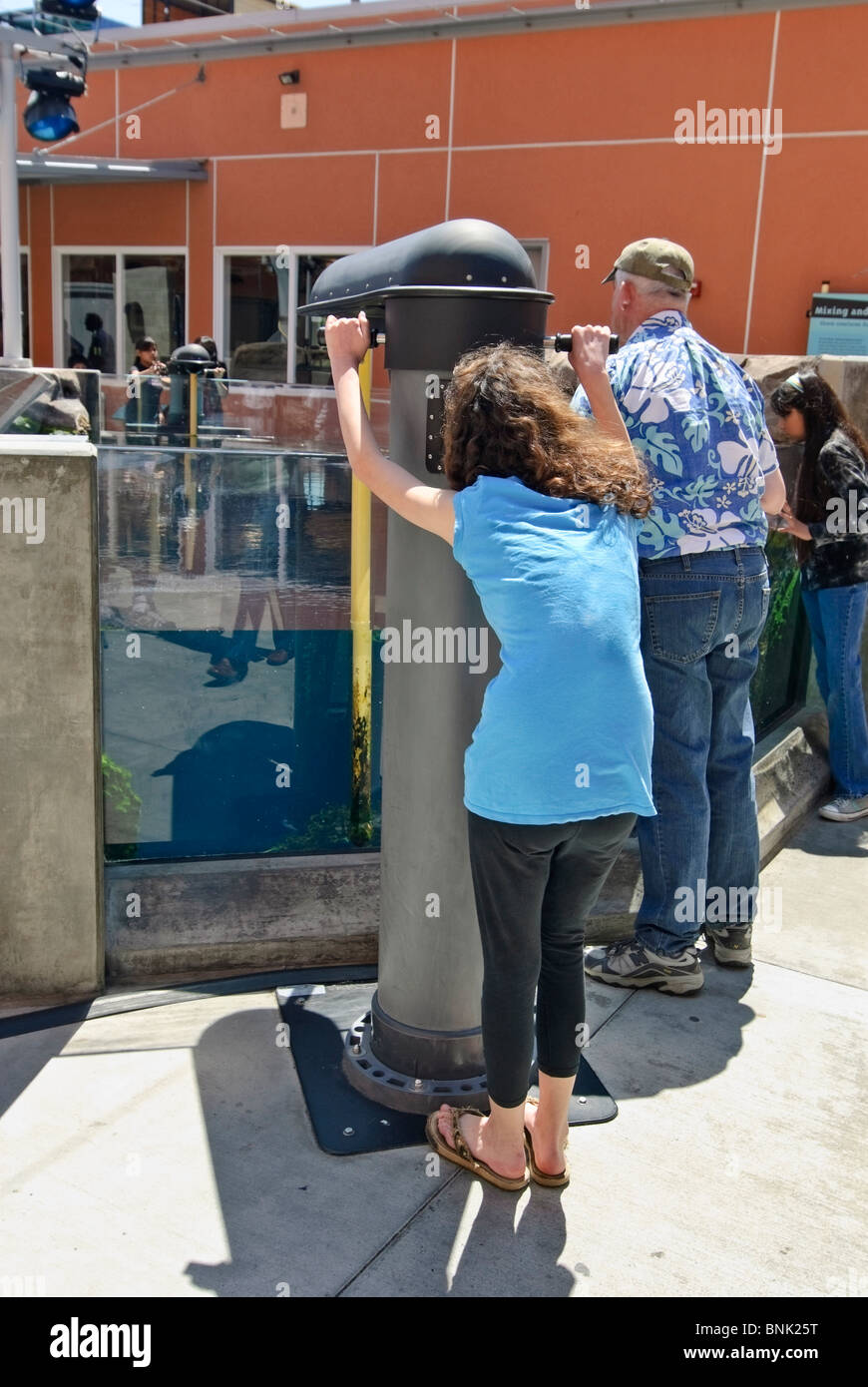 Kelp Forest exhibit at the California Science Center's new Ecosystems ...