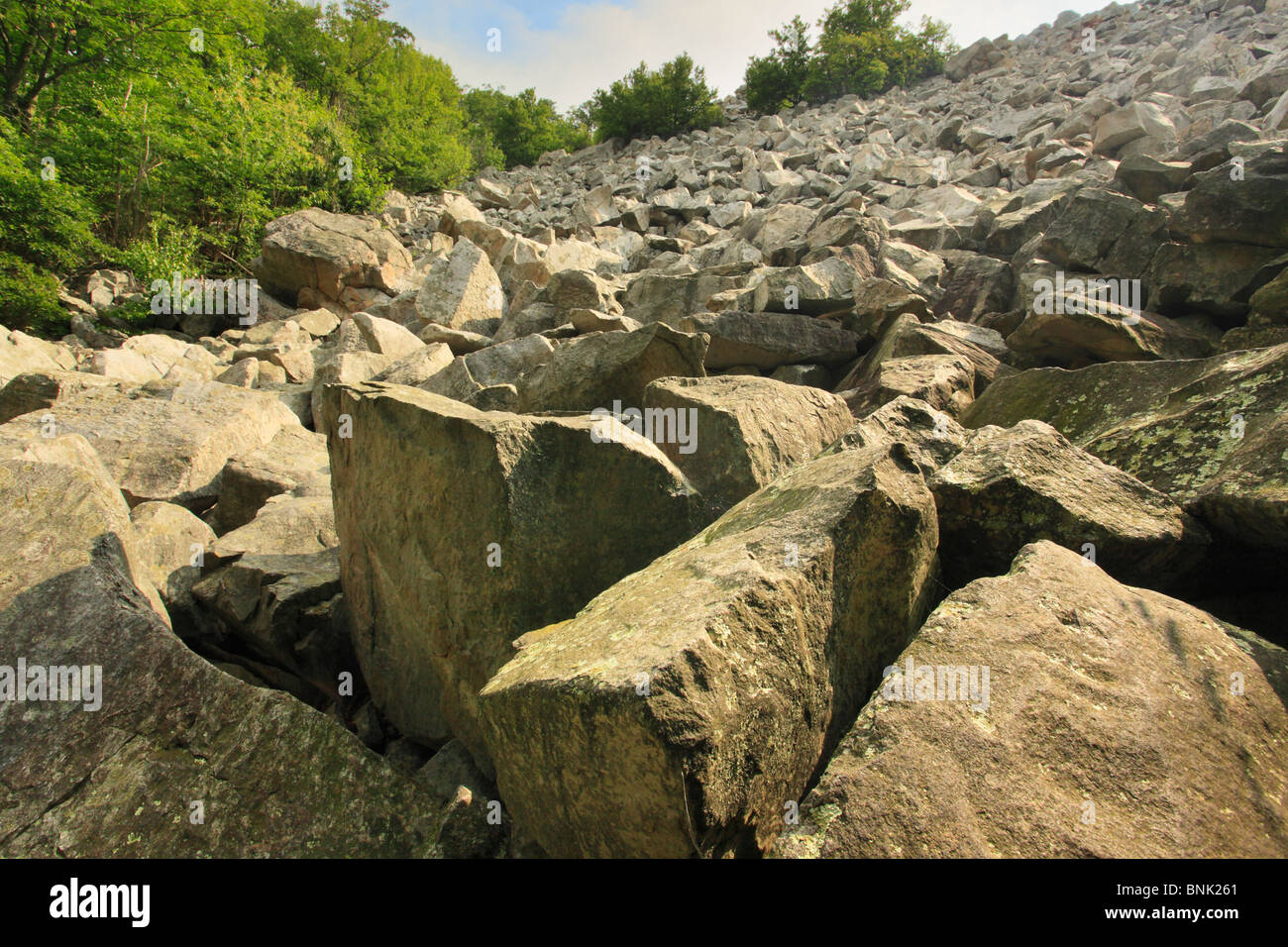 Devils Marbleyard on the Belfast Trail in James River Face Wilderness ...