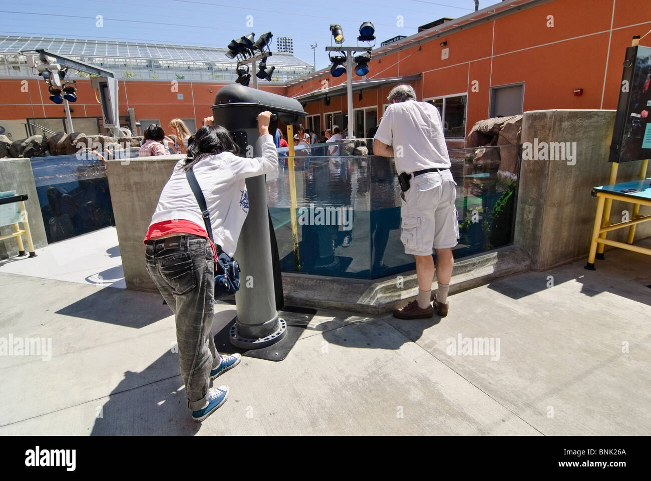 Kelp Forest exhibit at the California Science Center's new Ecosystems ...