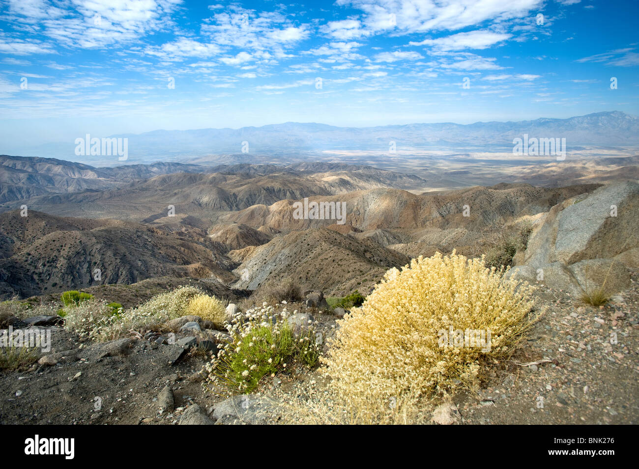 A beautiful desert overlook with colorful plants. Shot in Joshua Tree ...