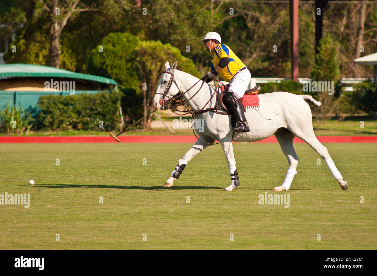 Horses and players at the Houston Polo Club, houston, texas Stock Photo ...