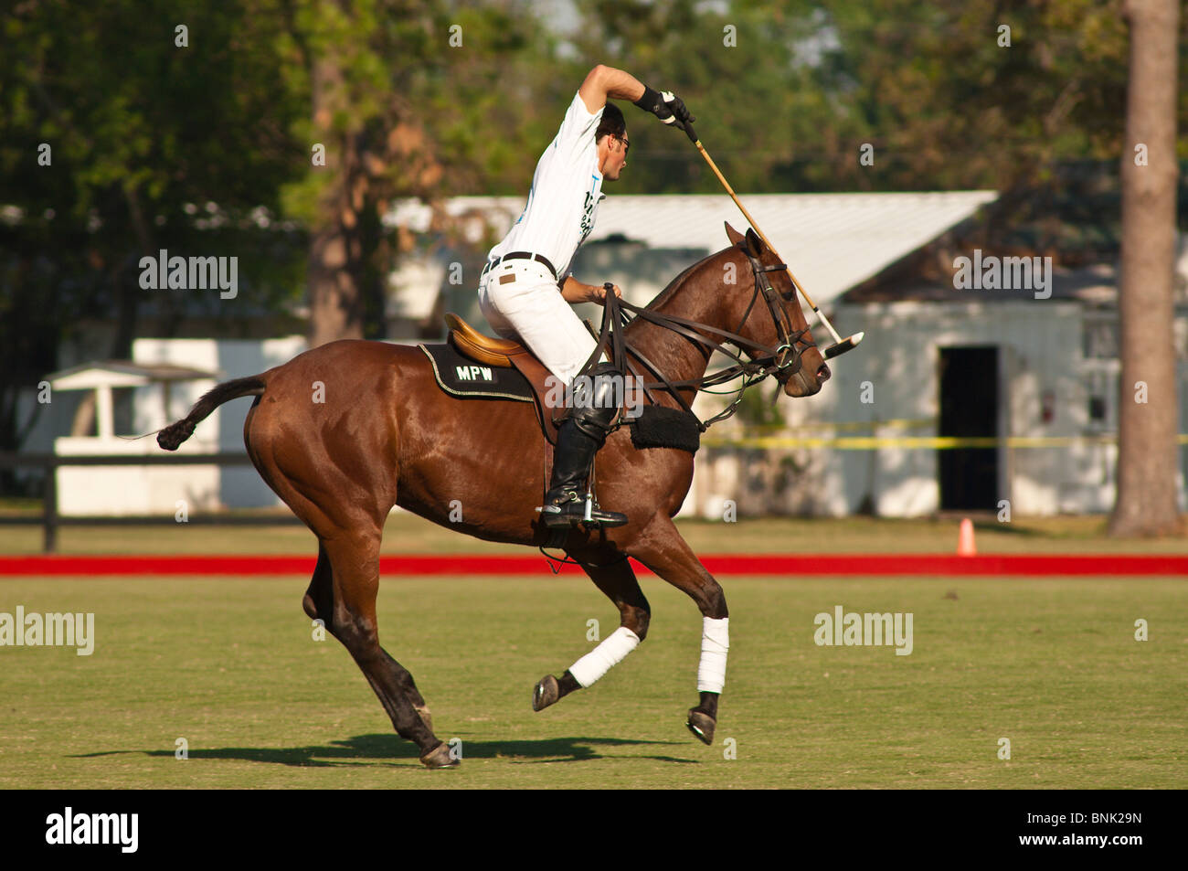 Horses and players at the Houston Polo Club, houston, texas Stock Photo ...