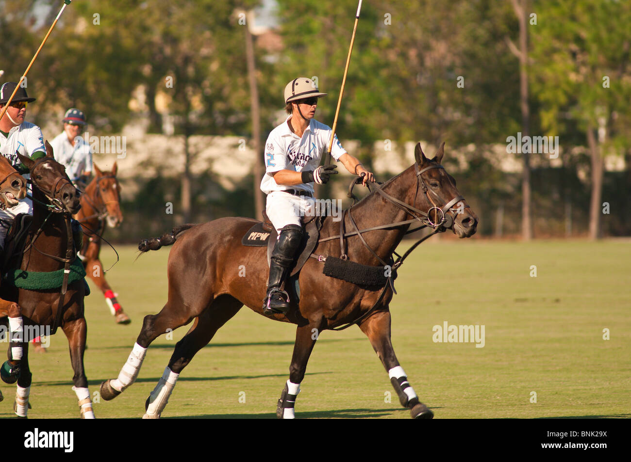 Horses and players at the Houston Polo Club, houston, texas Stock Photo ...
