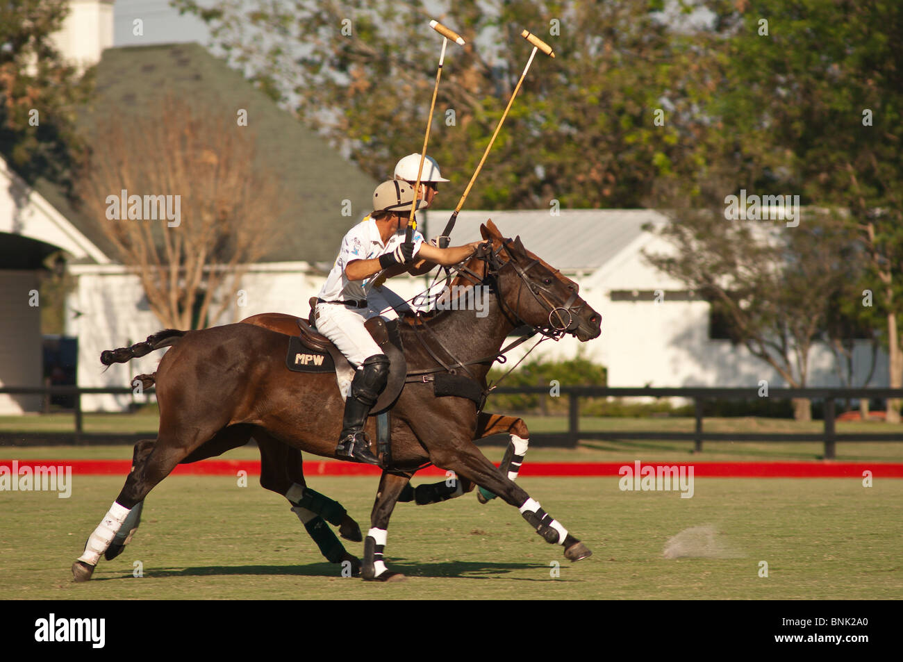 Horses and players at the Houston Polo Club, houston, texas Stock Photo ...