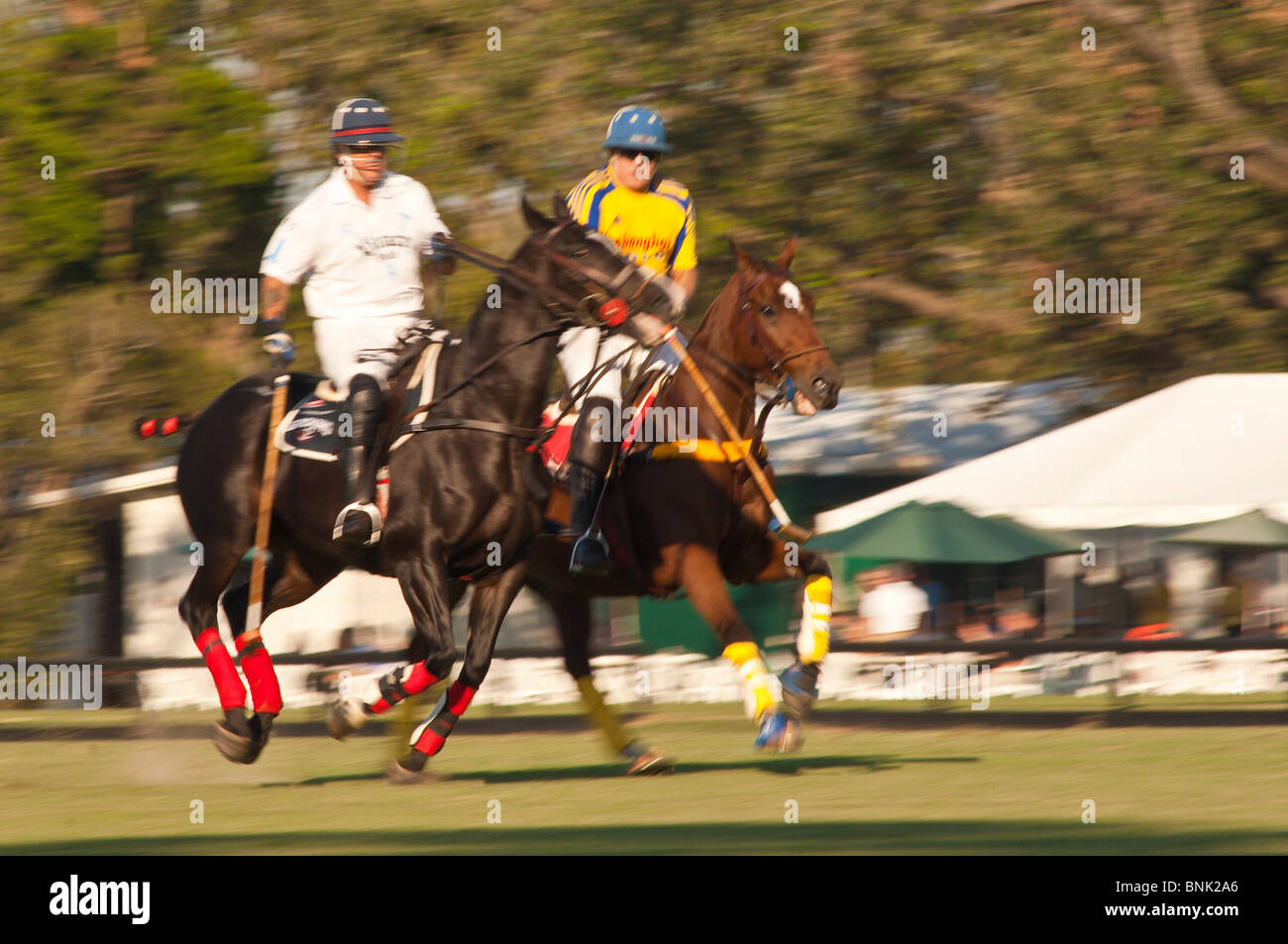 Houston polo club hi-res stock photography and images - Alamy