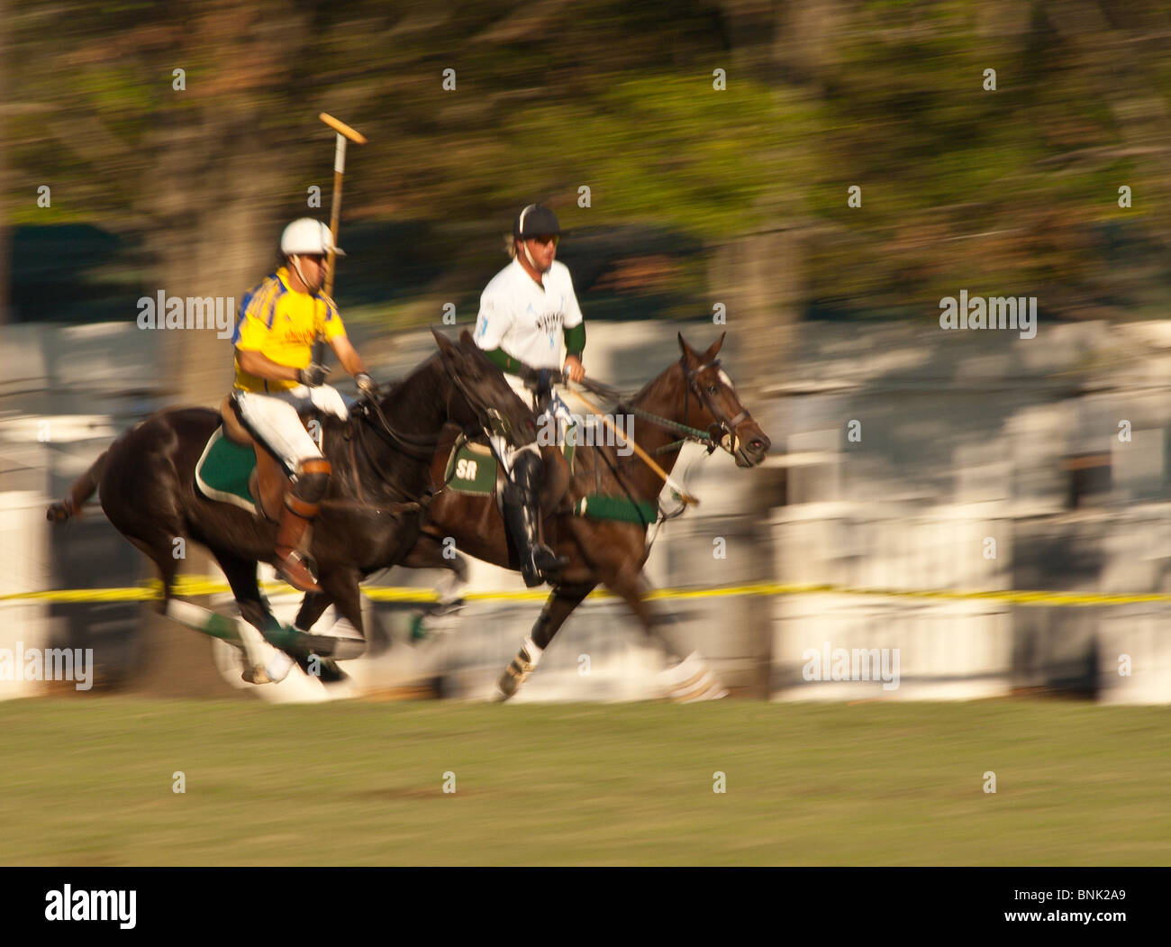 Horses and players at the Houston Polo Club, houston, texas Stock Photo ...