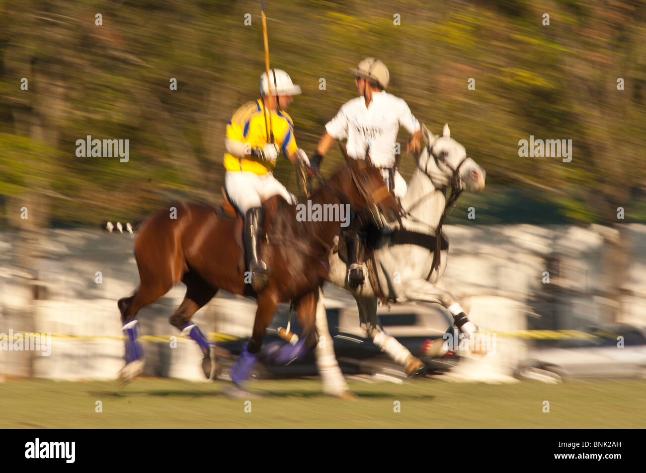 Horses and players at the Houston Polo Club, houston, texas Stock Photo ...