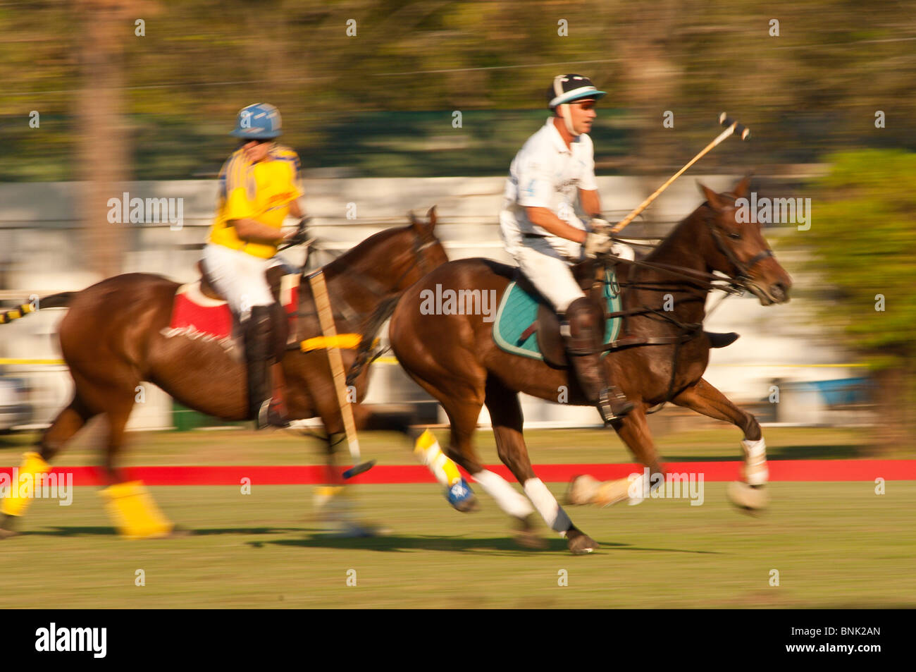 Horses and players at the Houston Polo Club, houston, texas Stock Photo ...