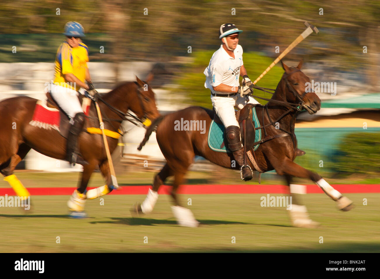 Horses and players at the Houston Polo Club, houston, texas Stock Photo ...