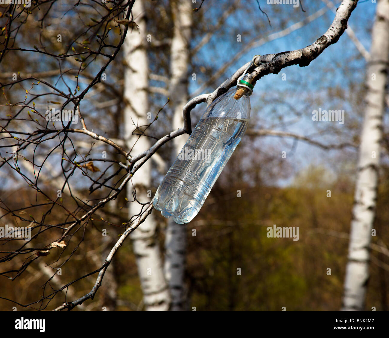 Beautiful spring landscape in a countryside. Russia, the Ryazan region ...