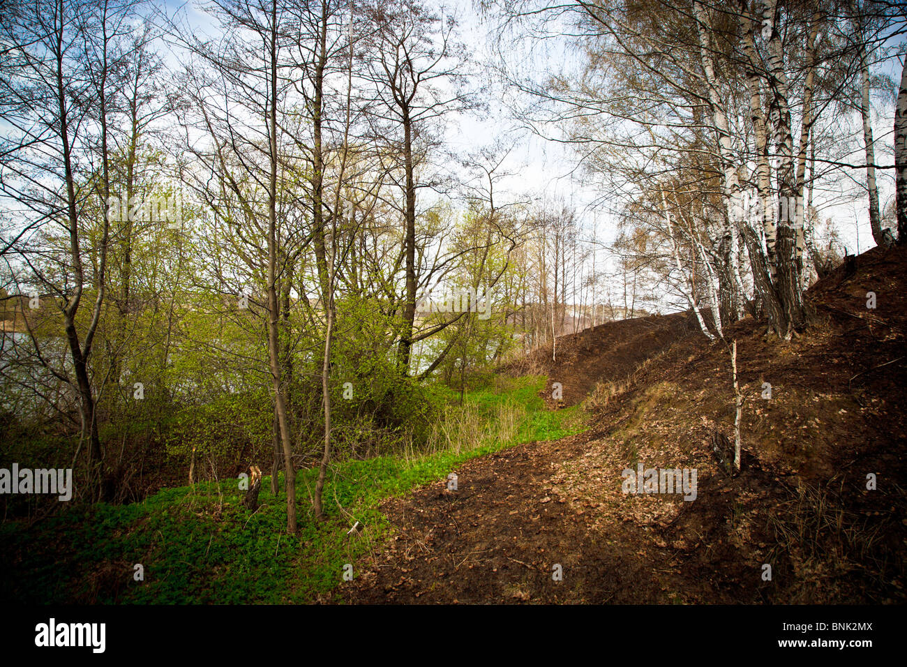 Beautiful spring landscape in a countryside. Russia, the Ryazan region ...