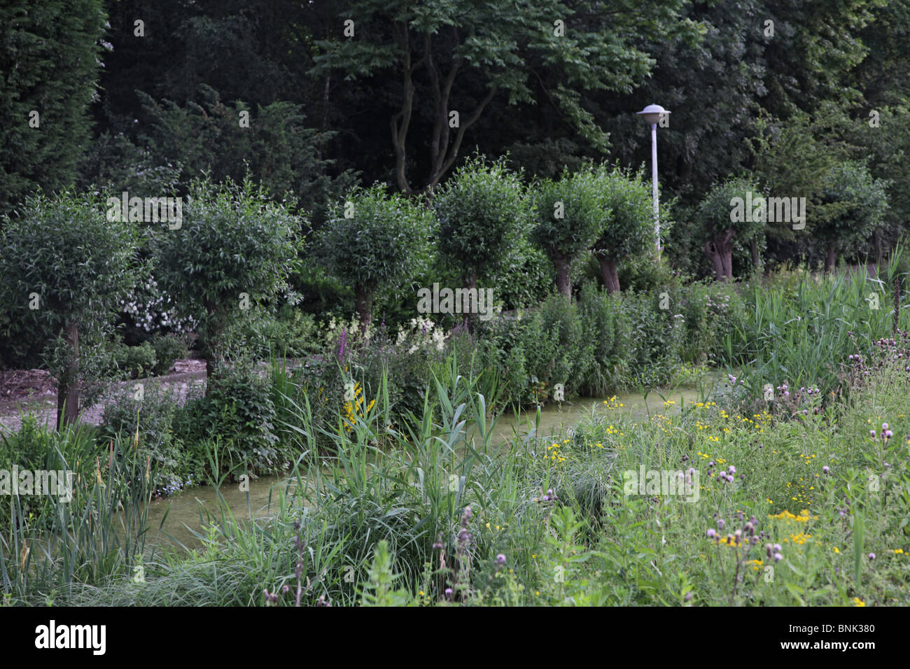 Westerpark amsterdam hi-res stock photography and images - Alamy