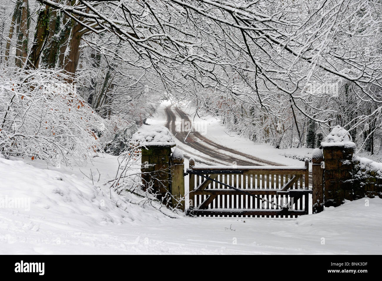 Winter scene with gate hi-res stock photography and images - Alamy