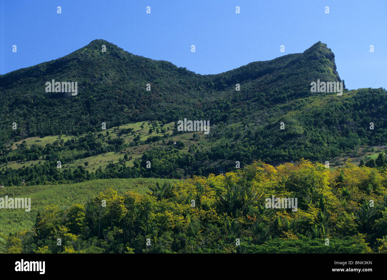 Countryside mountains south of Chamarel. Black river district ...