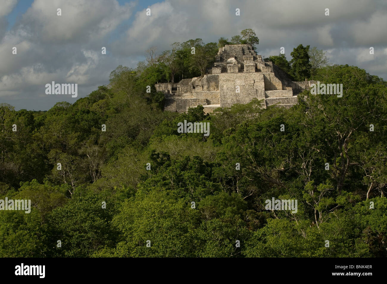 Mayan Pyramid Jungle