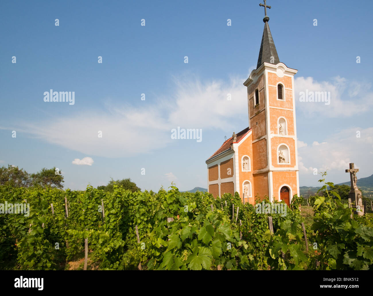Church and Vineyard near Tapolca Hungary Stock Photo - Alamy