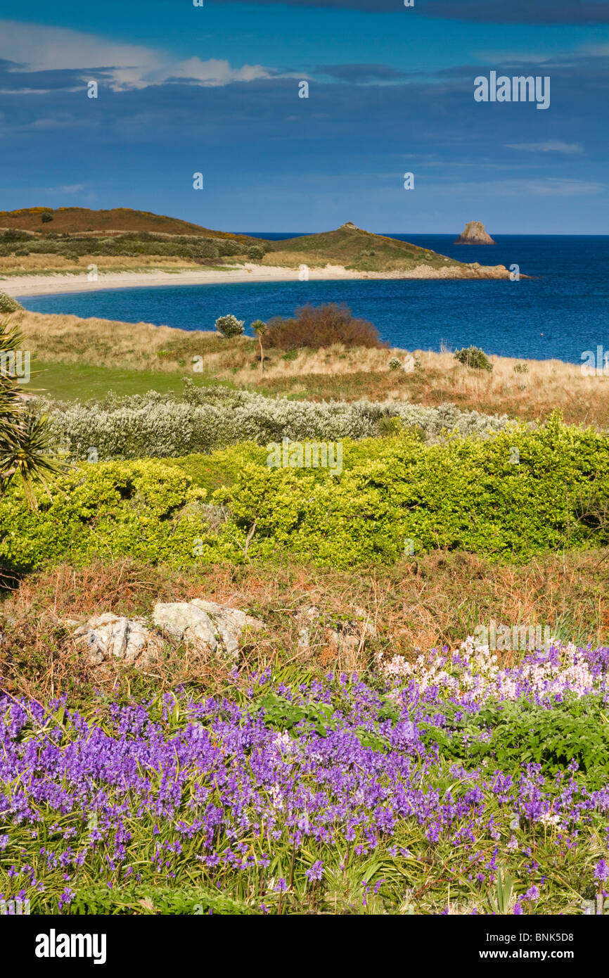 St Martins; Higher Town Bay; Isles of Scilly Stock Photo - Alamy