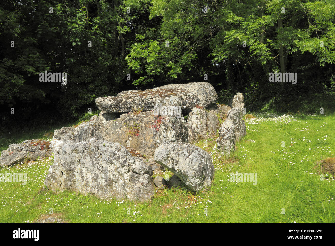 Wedge tomb hi-res stock photography and images - Alamy