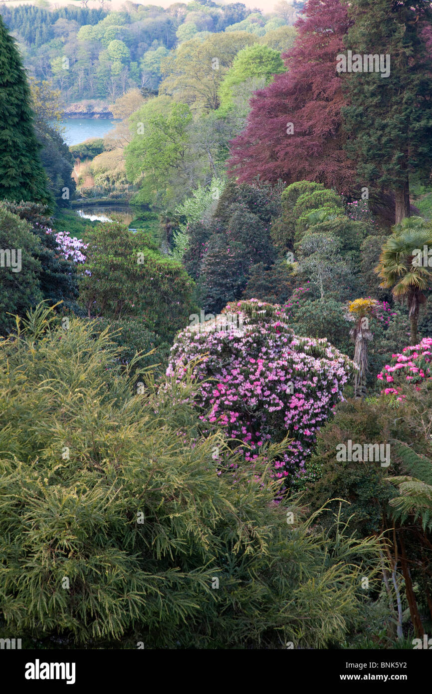 Uk garden in the spring hi-res stock photography and images - Alamy