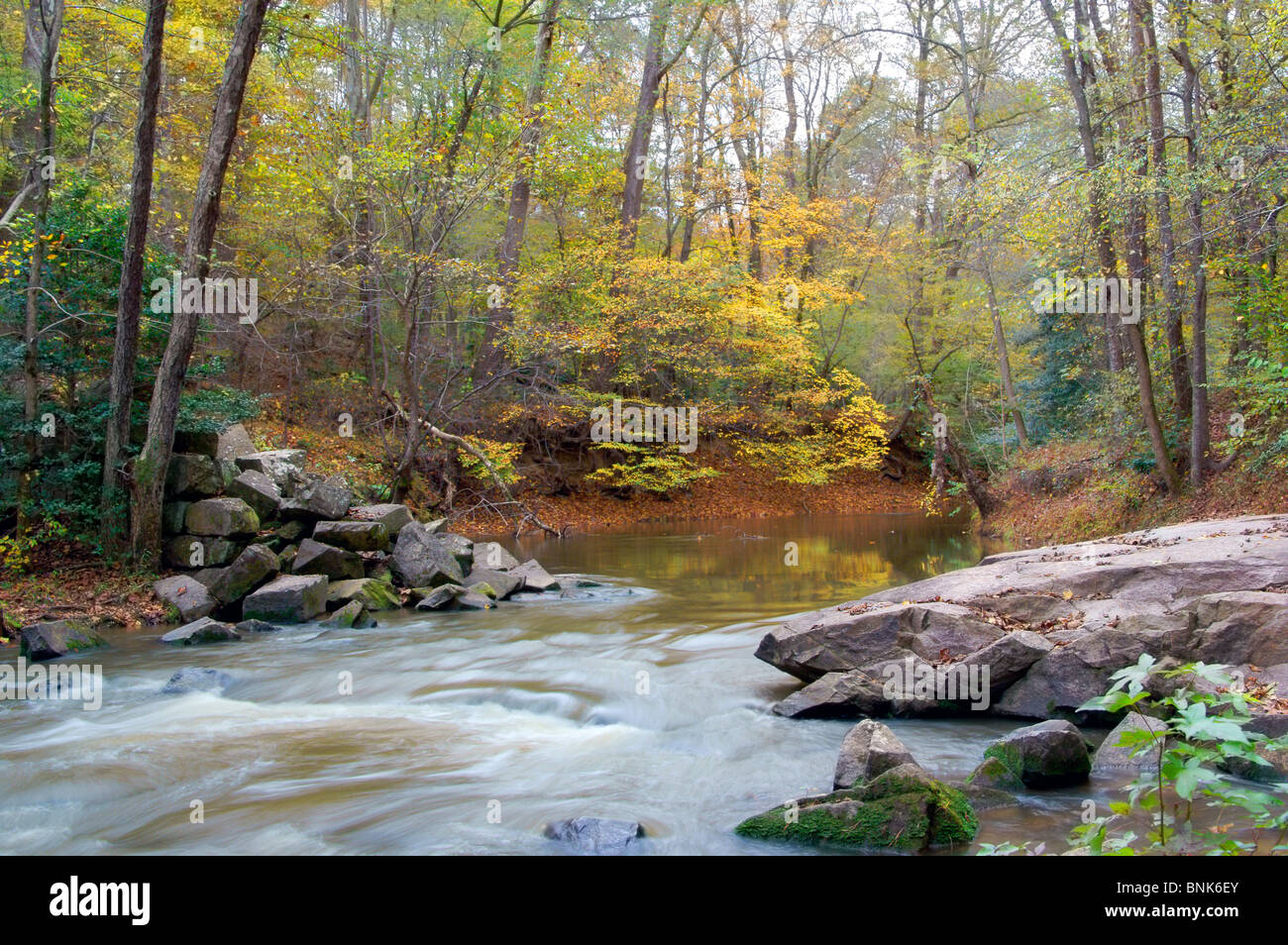 Water stream landscape in the fall colored forest Stock Photo - Alamy
