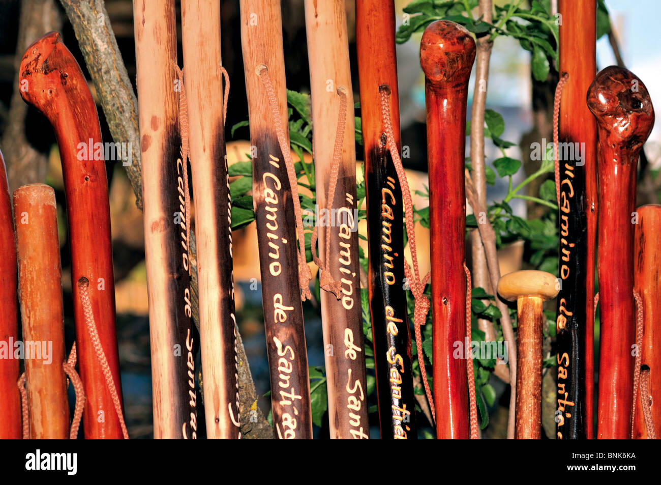 Spain, St. James Way: Walking sticks for St. James Pilgrims Stock Photo ...