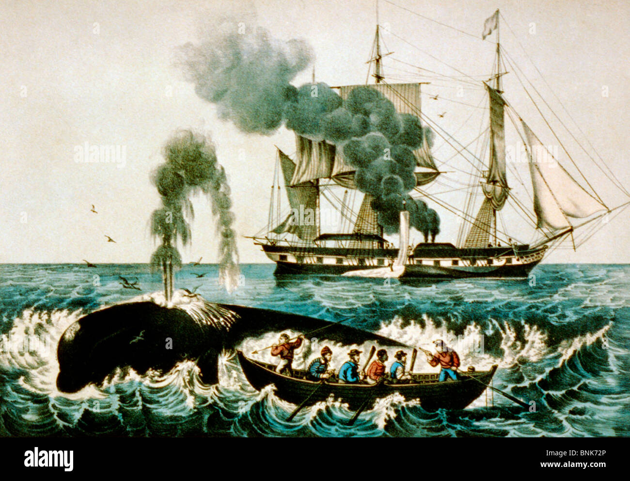 Whale hunting harpoon hi-res stock photography and images - Alamy