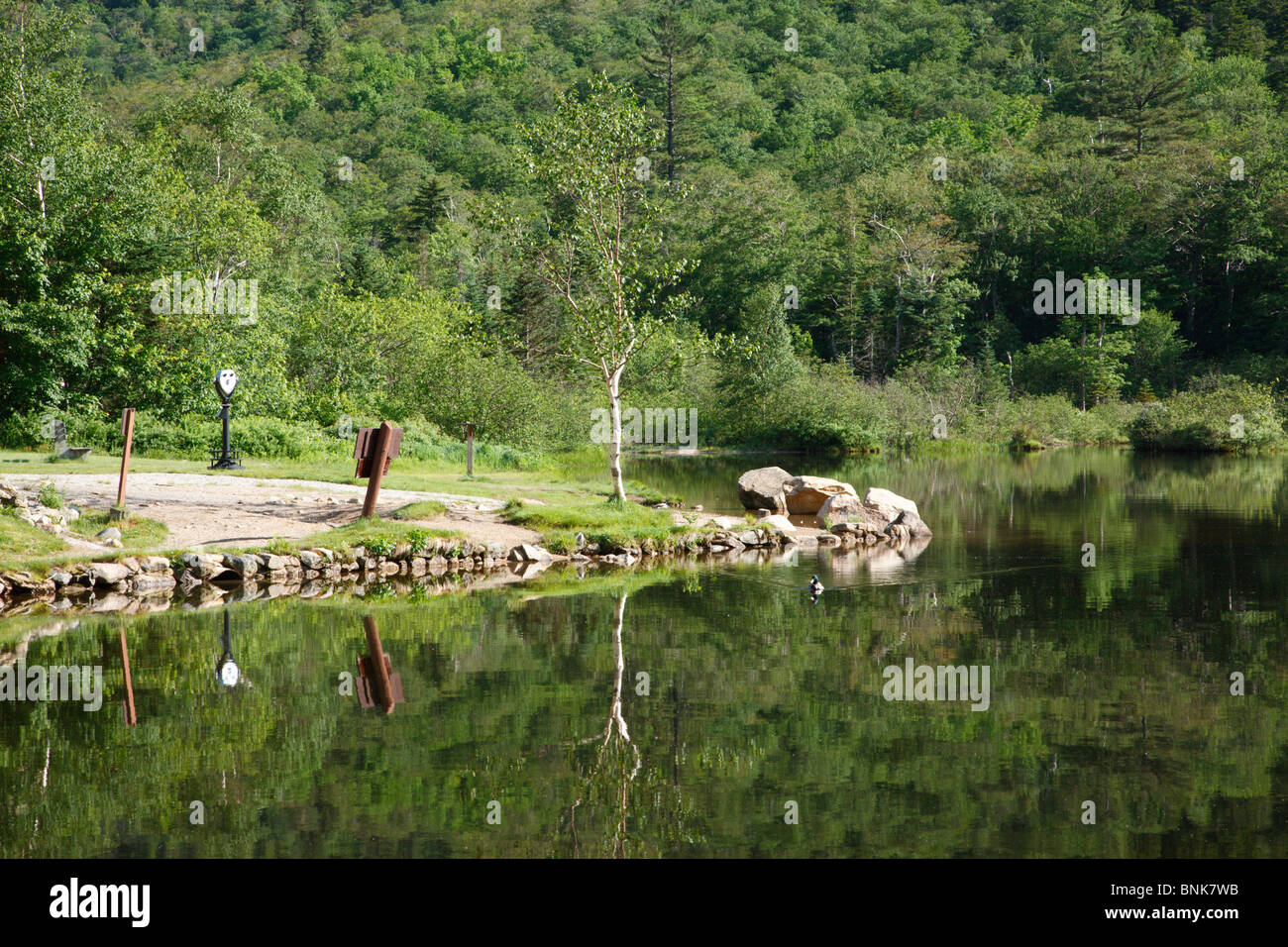 Crawford Notch State Park - Saco River at the Willey House Historical ...