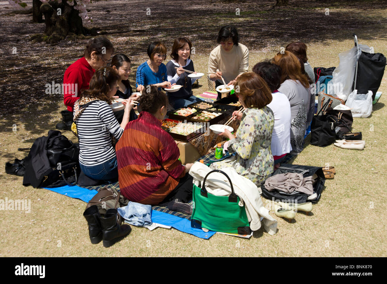 Group of women having a picnic in Shinjuku Imperial Garden, Tokyo ...